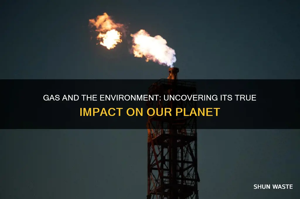 Gas And The Environment: Uncovering Its True Impact On Our Planet ...