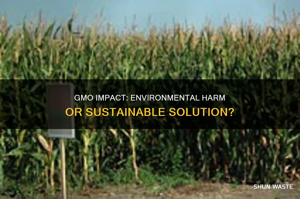 Gmo Impact: Environmental Harm Or Sustainable Solution? | ShunWaste