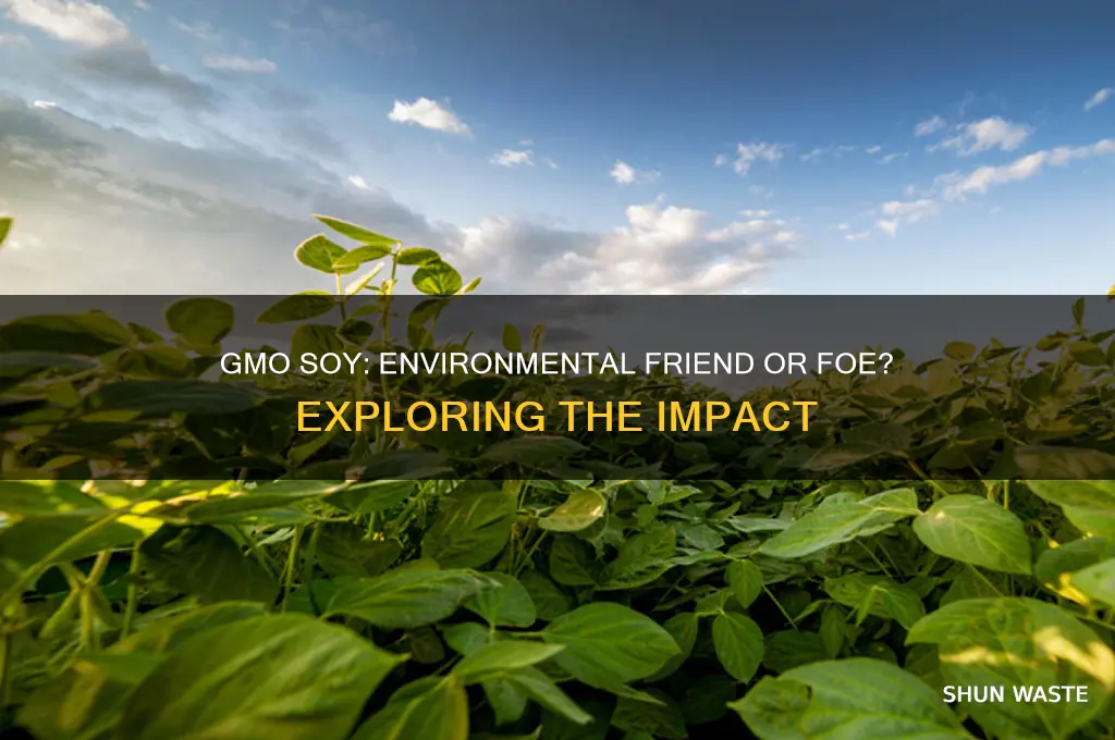 Gmo Soy: Environmental Friend Or Foe? Exploring The Impact | ShunWaste