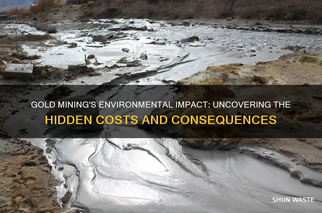 Gold Mining's Environmental Impact: Uncovering The Hidden Costs And ...