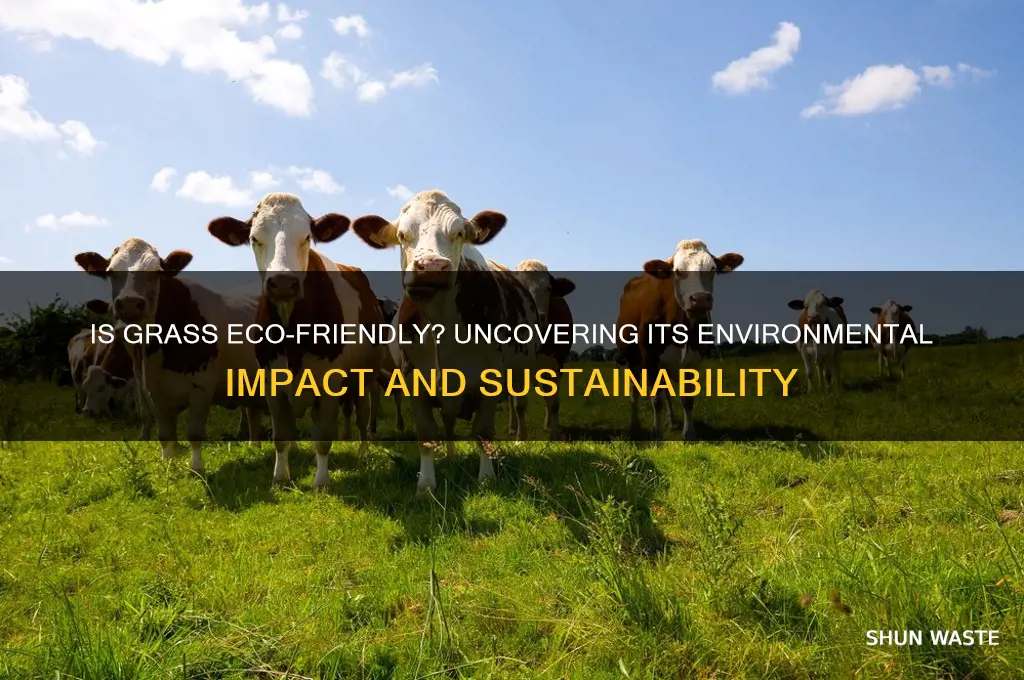 Is Grass Eco-Friendly? Uncovering Its Environmental Impact And ...