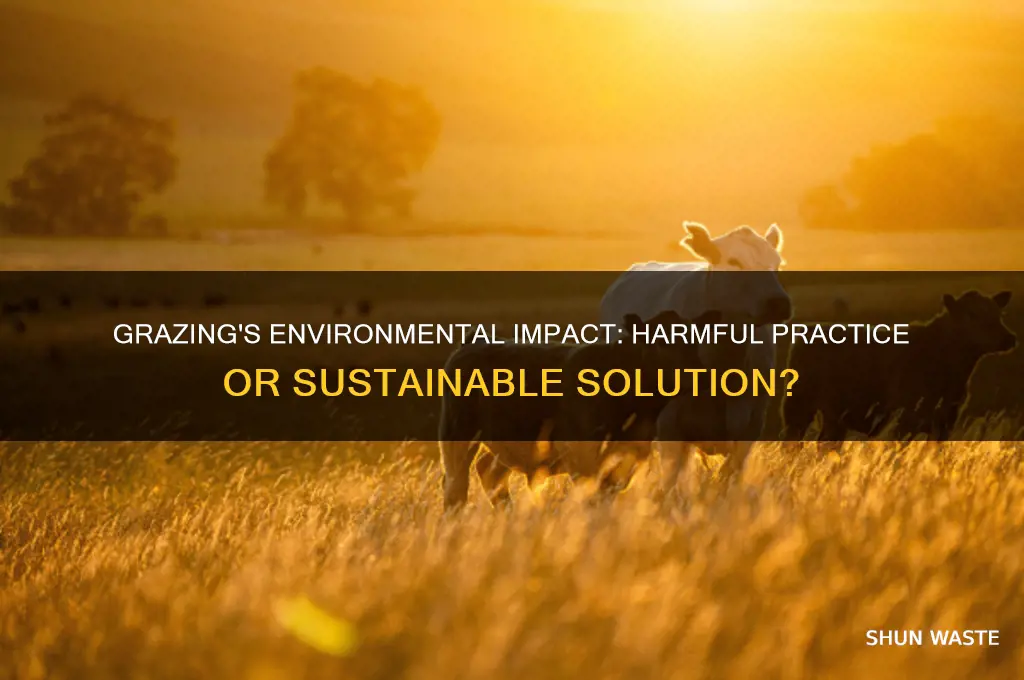 Grazing's Environmental Impact: Harmful Practice Or Sustainable ...
