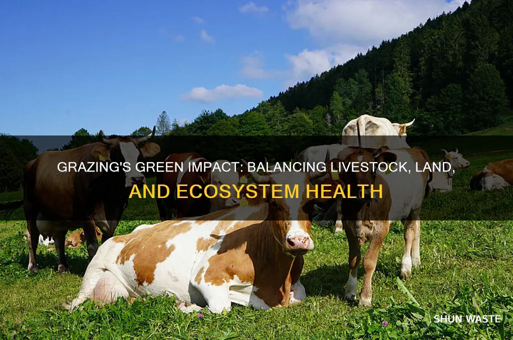 Grazing's Green Impact: Balancing Livestock, Land, And Ecosystem Health ...