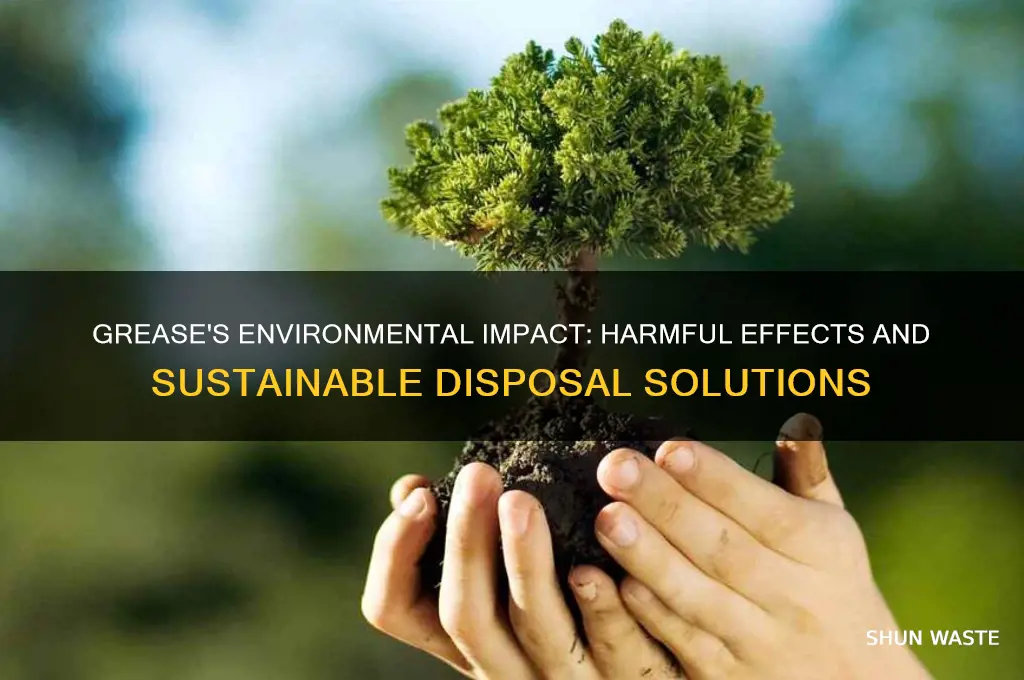 Grease's Environmental Impact: Harmful Effects And Sustainable Disposal ...
