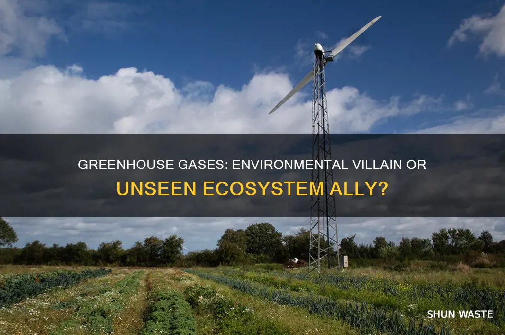 Greenhouse Gases: Environmental Villain Or Unseen Ecosystem Ally ...