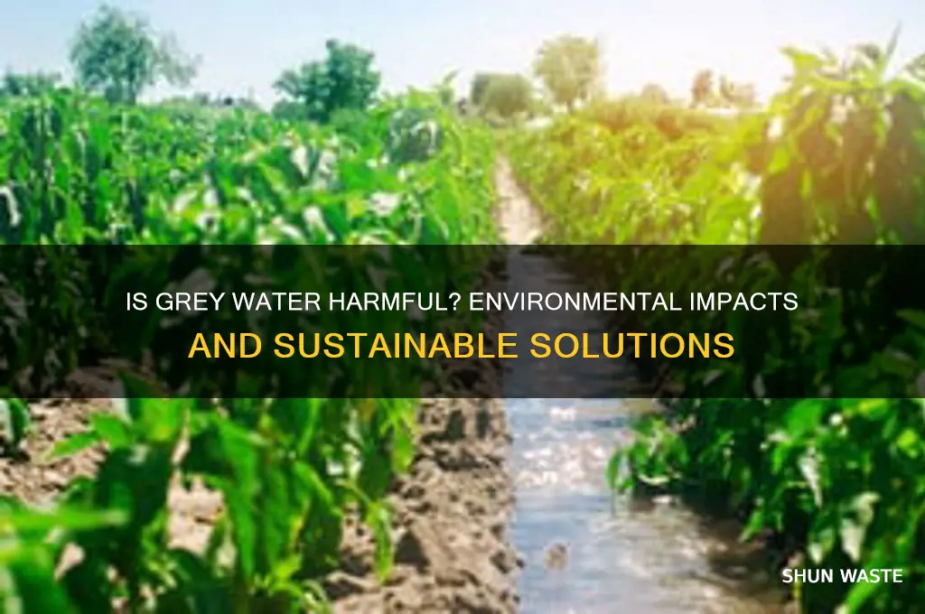 Is Grey Water Harmful? Environmental Impacts And Sustainable Solutions ...