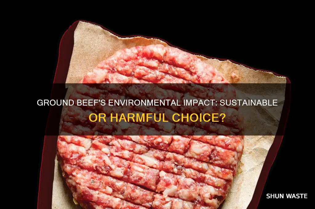 Ground Beef's Environmental Impact: Sustainable Or Harmful Choice ...