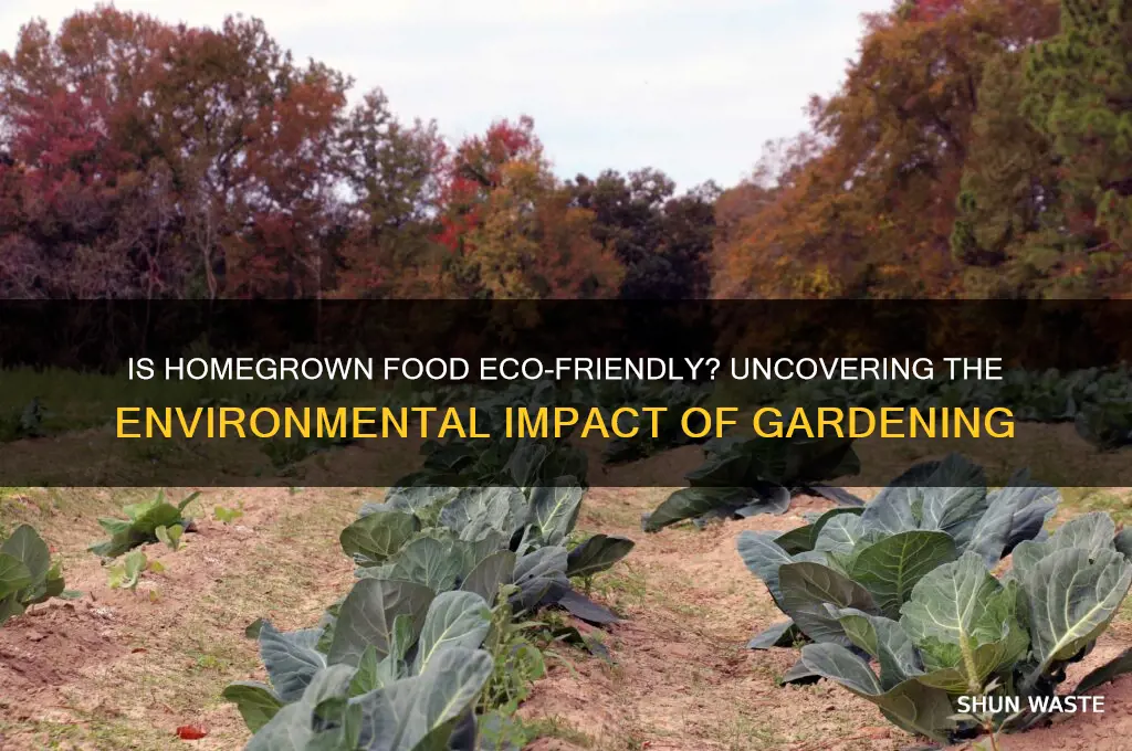 Is Homegrown Food Eco-Friendly? Uncovering The Environmental Impact Of ...