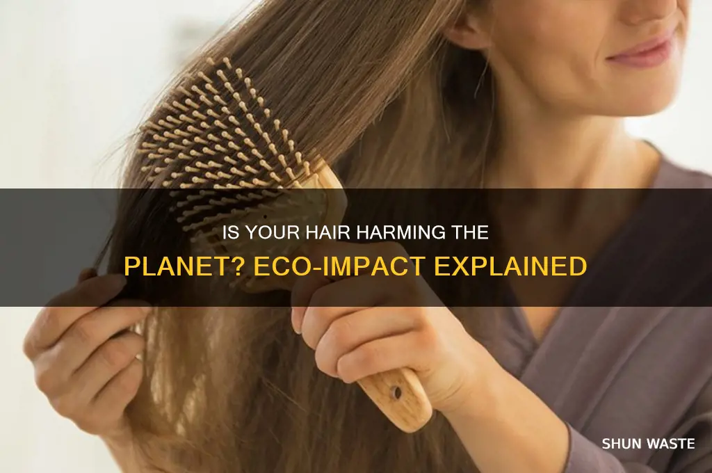 Is Your Hair Harming The Planet? Eco-Impact Explained | ShunWaste