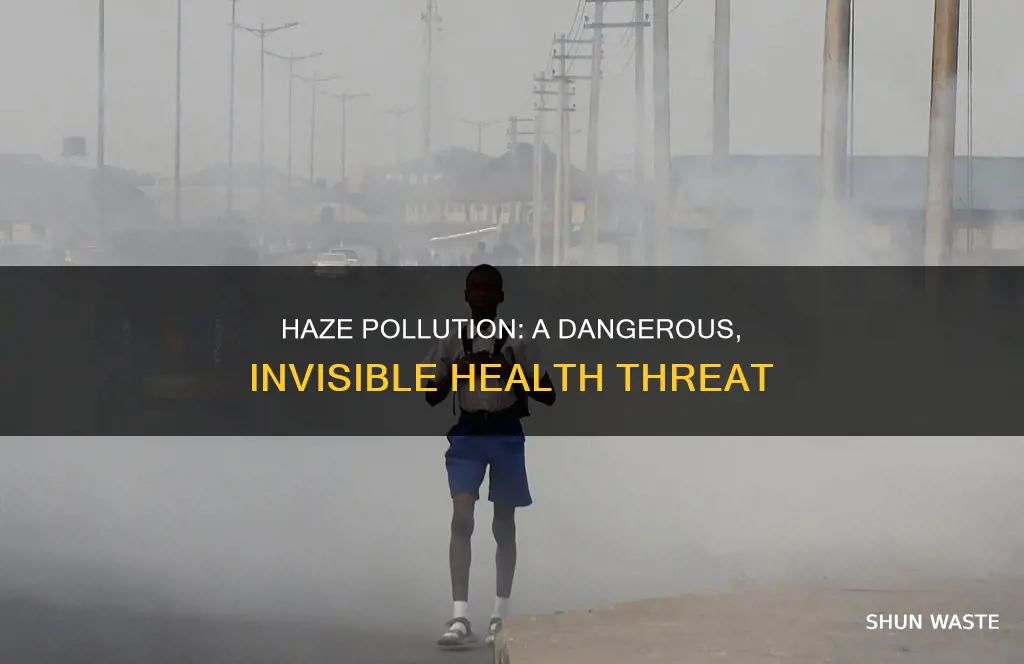 Haze Pollution: A Dangerous, Invisible Health Threat | ShunWaste