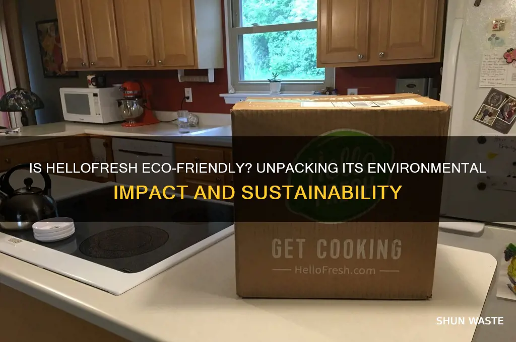 Is Hellofresh Eco-Friendly? Unpacking Its Environmental Impact And ...
