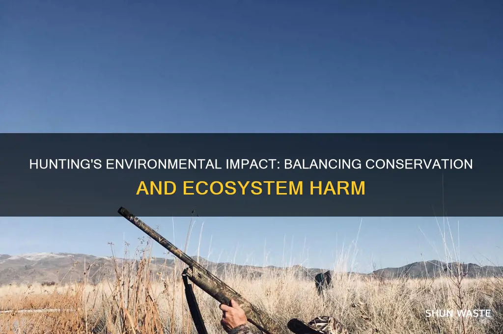 Hunting's Environmental Impact: Balancing Conservation And Ecosystem ...