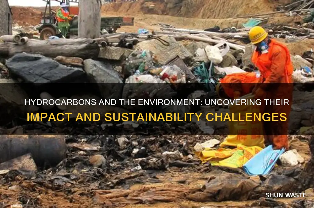 Hydrocarbons And The Environment: Uncovering Their Impact And ...