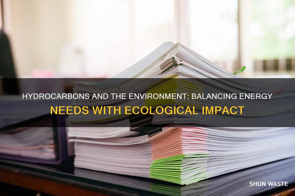 Hydrocarbons And The Environment: Balancing Energy Needs With ...
