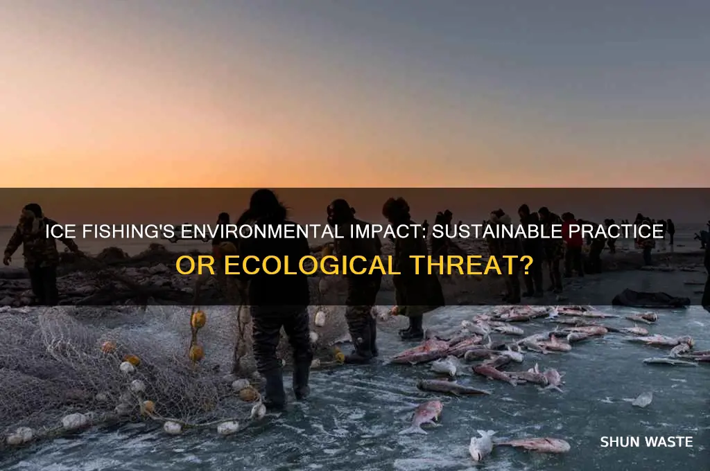 Ice Fishing's Environmental Impact: Sustainable Practice Or Ecological ...