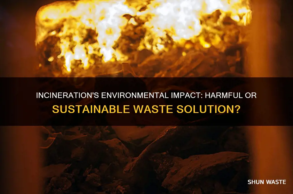Incineration's Environmental Impact: Harmful Or Sustainable Waste ...