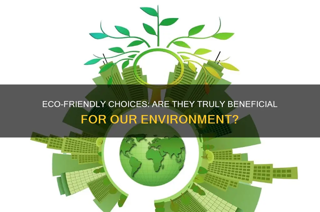 Eco-Friendly Choices: Are They Truly Beneficial For Our Environment ...