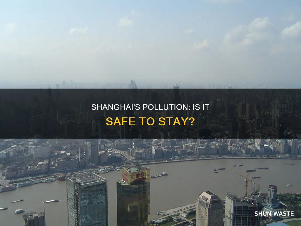 Shanghai's Pollution: Is It Safe To Stay? | ShunWaste