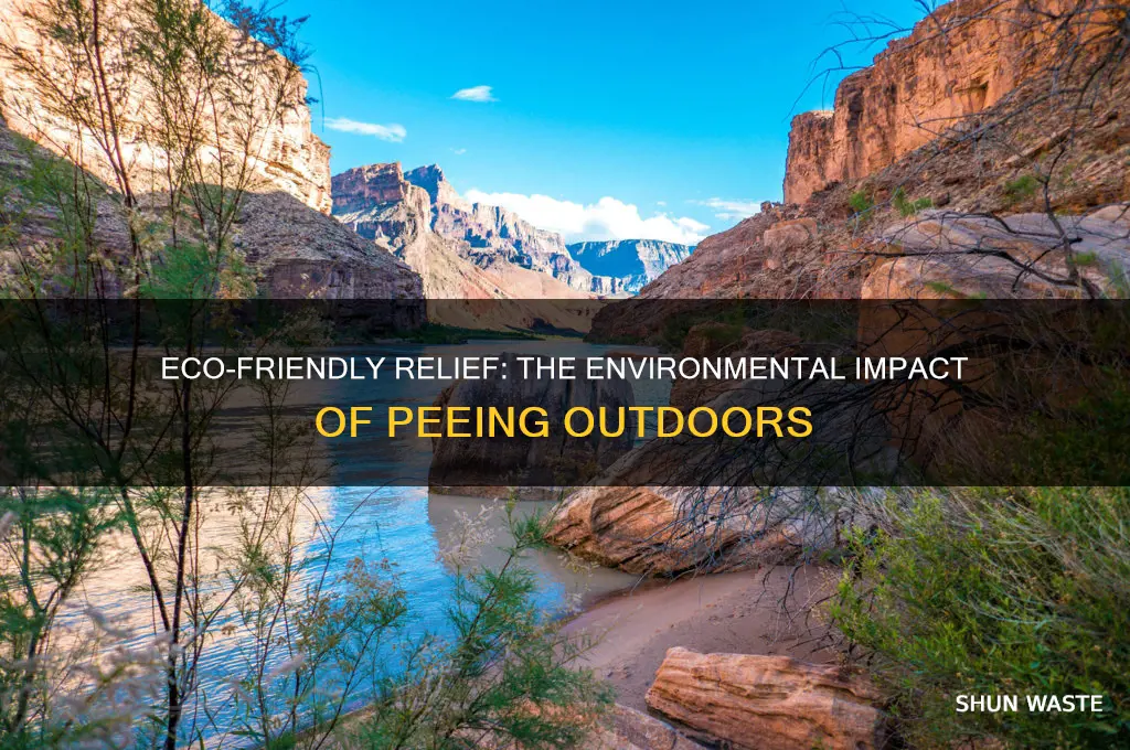 Eco-Friendly Relief: The Environmental Impact Of Peeing Outdoors ...