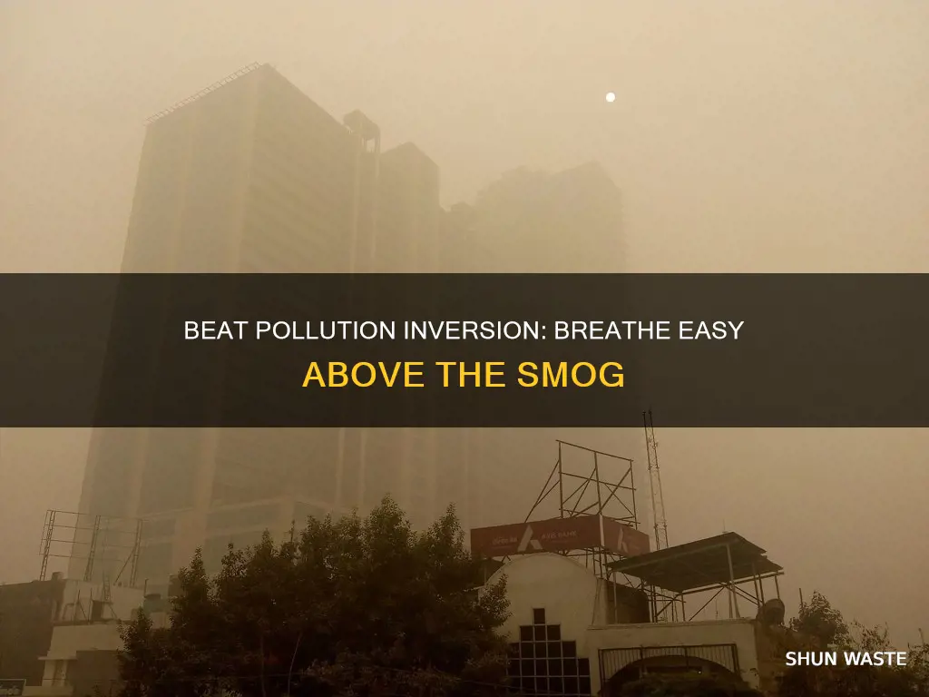 Beat Pollution Inversion: Breathe Easy Above The Smog | ShunWaste