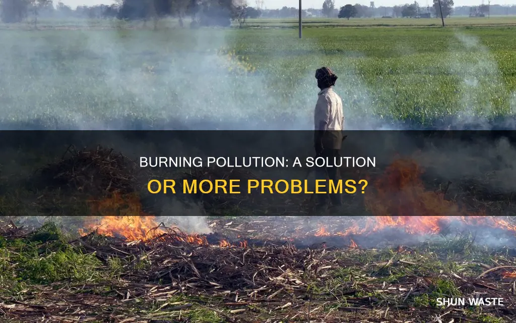 Burning Pollution: A Solution Or More Problems? | ShunWaste