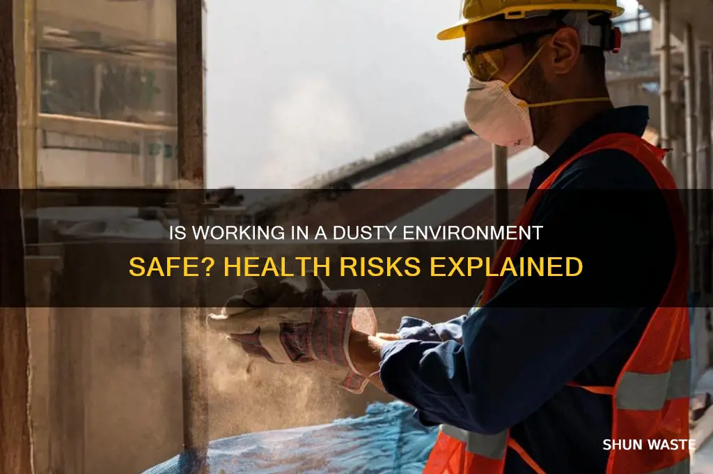 Is Working In A Dusty Environment Safe? Health Risks Explained | ShunWaste