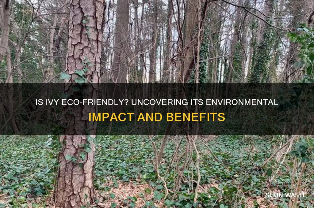 Is Ivy Eco-Friendly? Uncovering Its Environmental Impact And Benefits ...