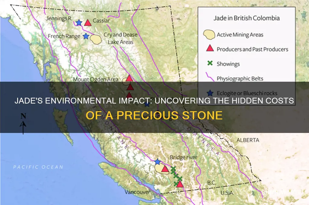 Jade's Environmental Impact: Uncovering The Hidden Costs Of A Precious ...