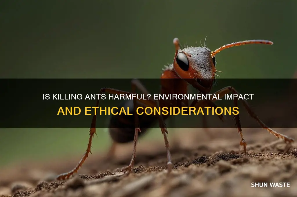 Is Killing Ants Harmful? Environmental Impact And Ethical ...
