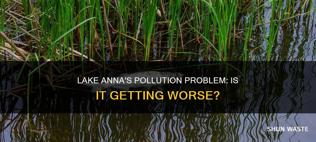 Lake Anna's Pollution Problem: Is It Getting Worse? | ShunWaste