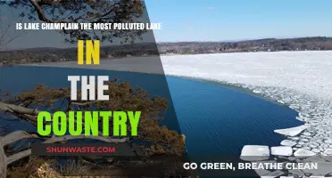 Lake Erie's Pollution Problem: Is It Getting Worse? | ShunWaste