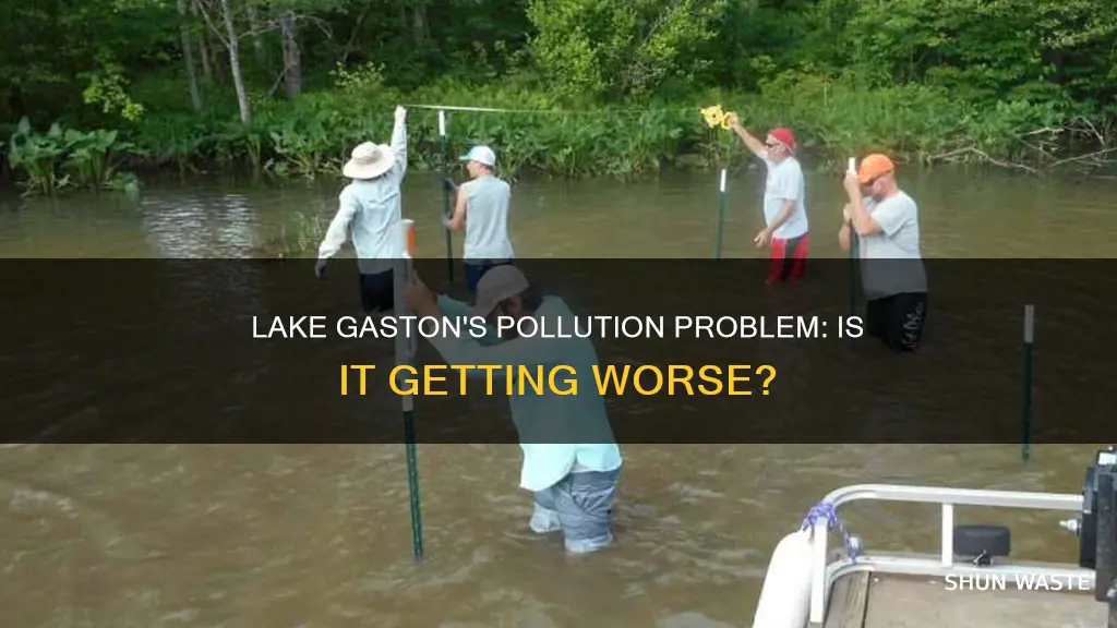 Lake Gaston's Pollution Problem: Is It Getting Worse? | ShunWaste