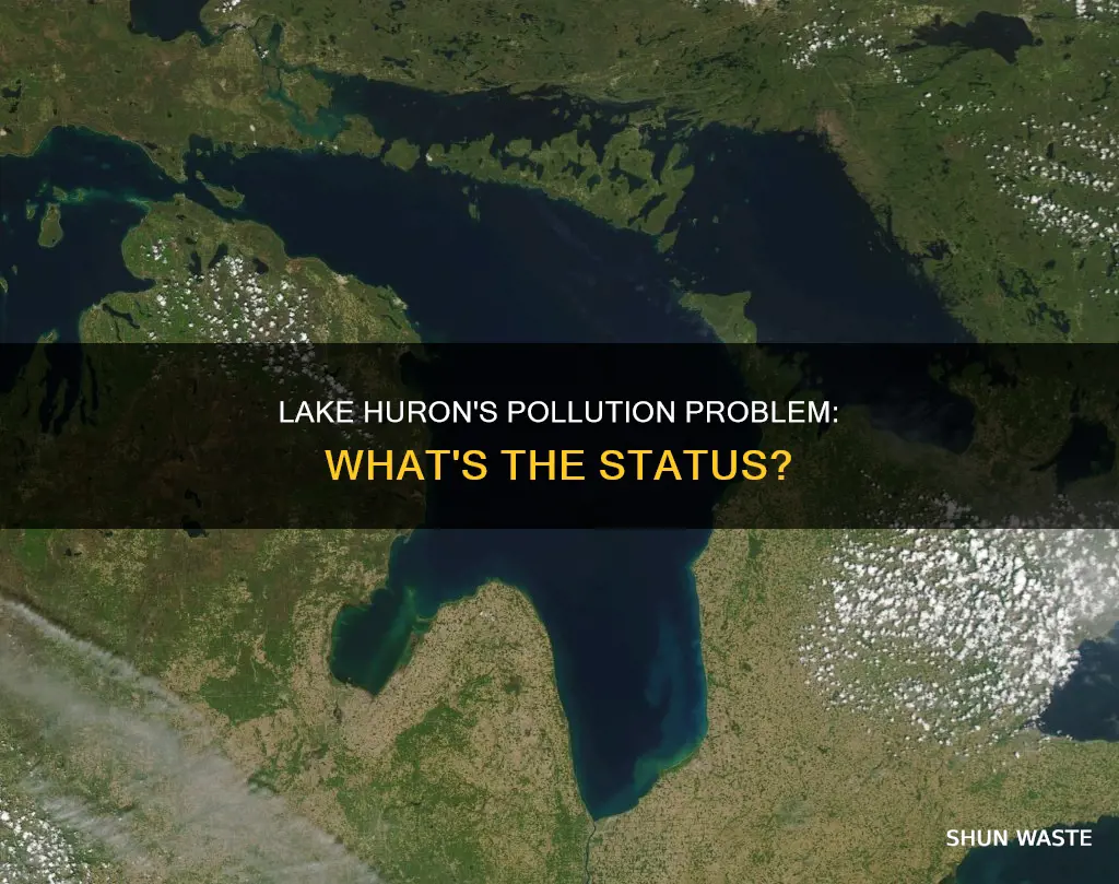 Lake Huron's Pollution Problem: What's The Status? | ShunWaste