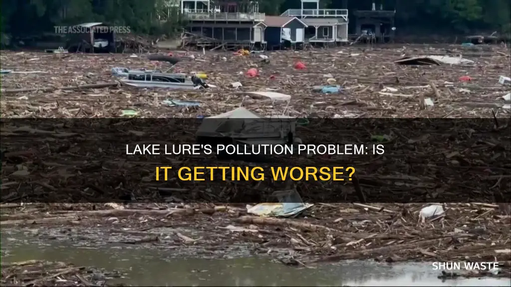 Lake Lure's Pollution Problem: Is It Getting Worse? | ShunWaste