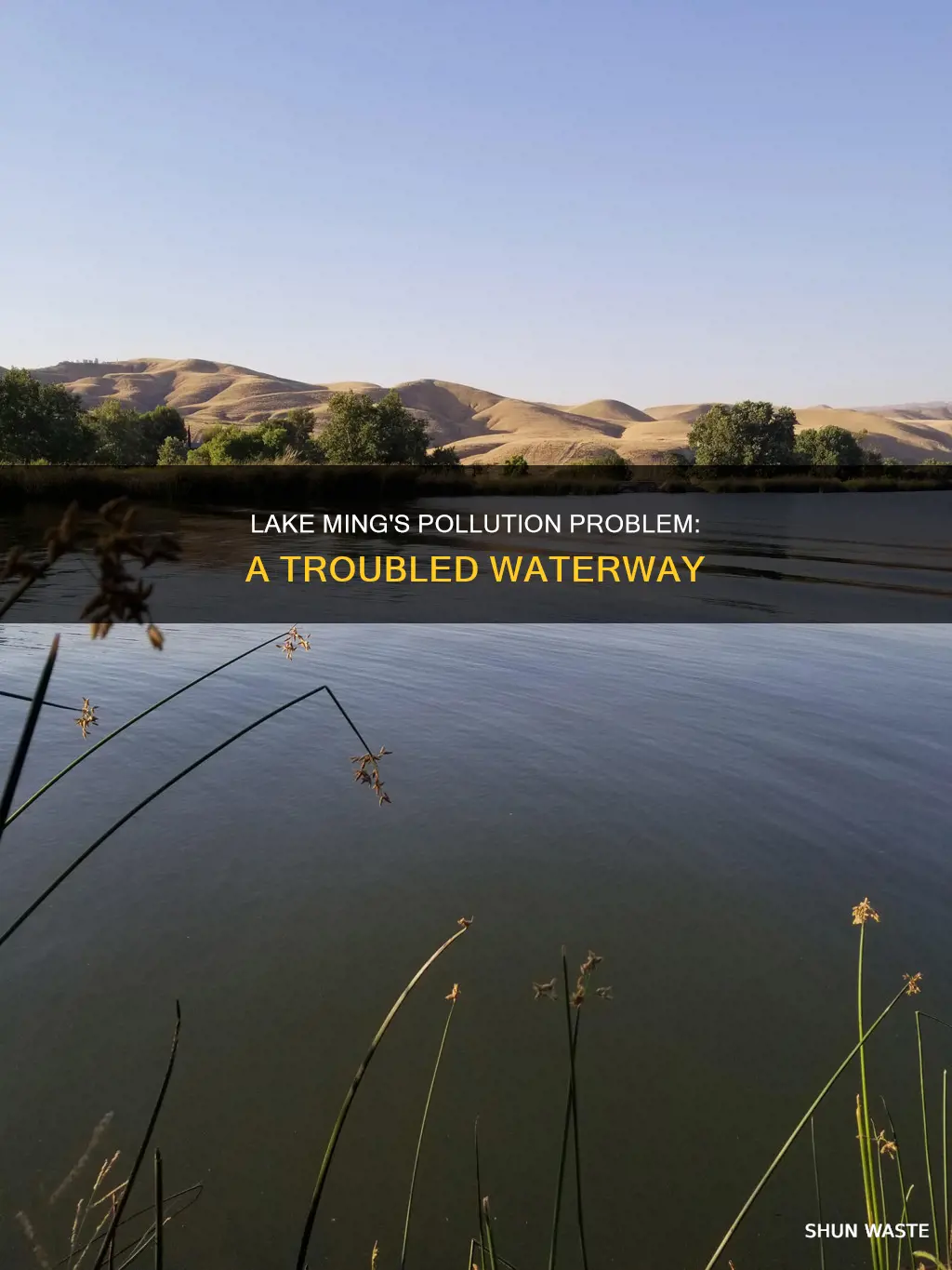 Lake Ming's Pollution Problem: A Troubled Waterway | ShunWaste