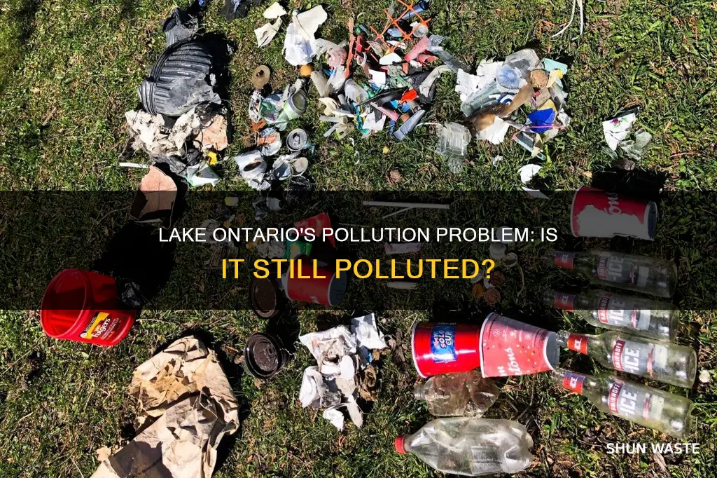 Lake Ontario's Pollution Problem: Is It Still Polluted? | ShunWaste