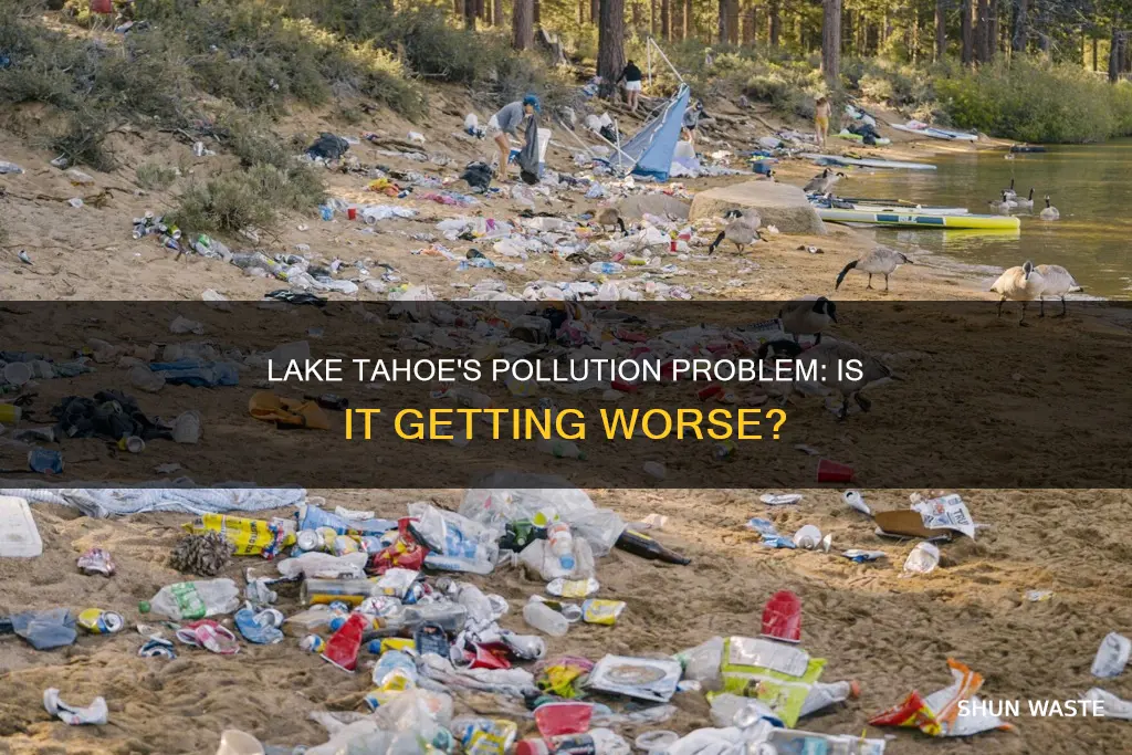 Lake Tahoe's Pollution Problem: Is It Getting Worse? | ShunWaste