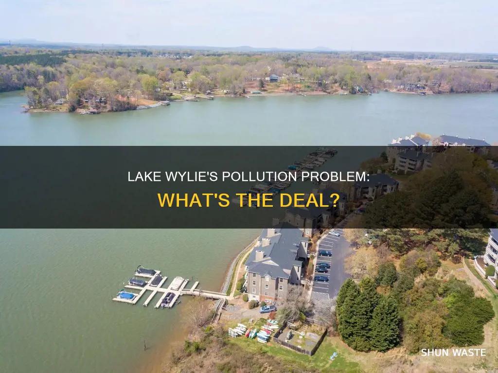 Lake Wylie's Pollution Problem: What's The Deal? | ShunWaste