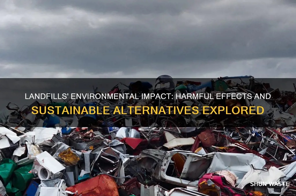 Landfills' Environmental Impact: Harmful Effects And Sustainable ...