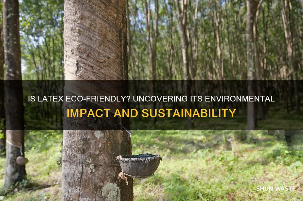 Is Latex Eco-Friendly? Uncovering Its Environmental Impact And ...