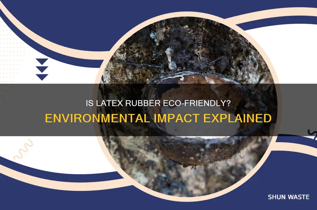 Is Latex Rubber Eco-Friendly? Environmental Impact Explained | ShunWaste