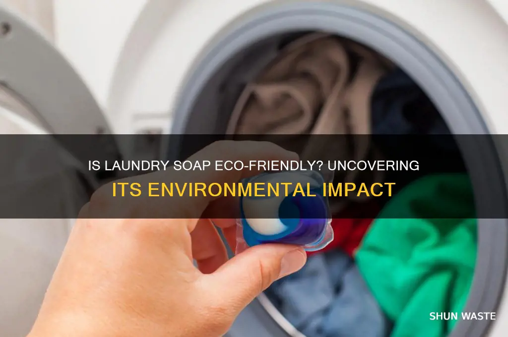 Is Laundry Soap Eco-Friendly? Uncovering Its Environmental Impact ...