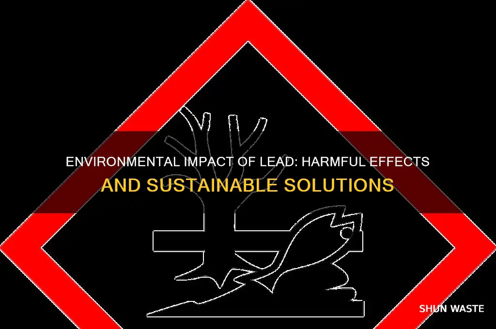 Environmental Impact Of Lead: Harmful Effects And Sustainable Solutions ...