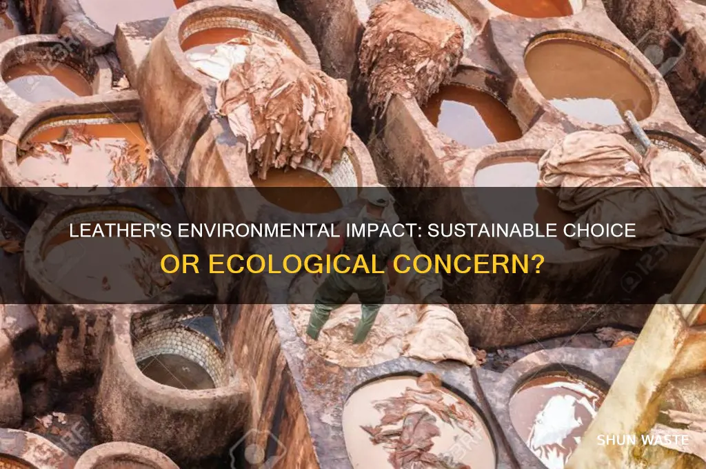 Leather's Environmental Impact: Sustainable Choice Or Ecological ...