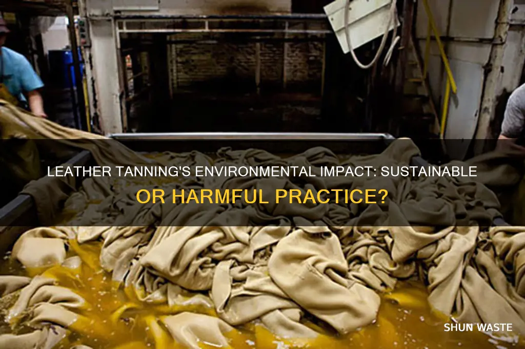 Leather Tanning's Environmental Impact: Sustainable Or Harmful Practice ...