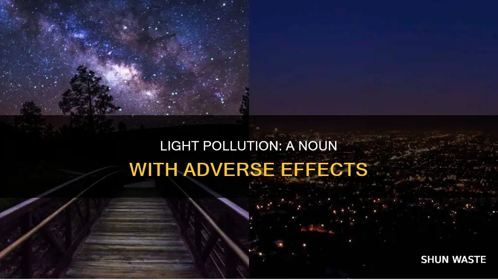 Light Pollution: A Noun With Adverse Effects | ShunWaste