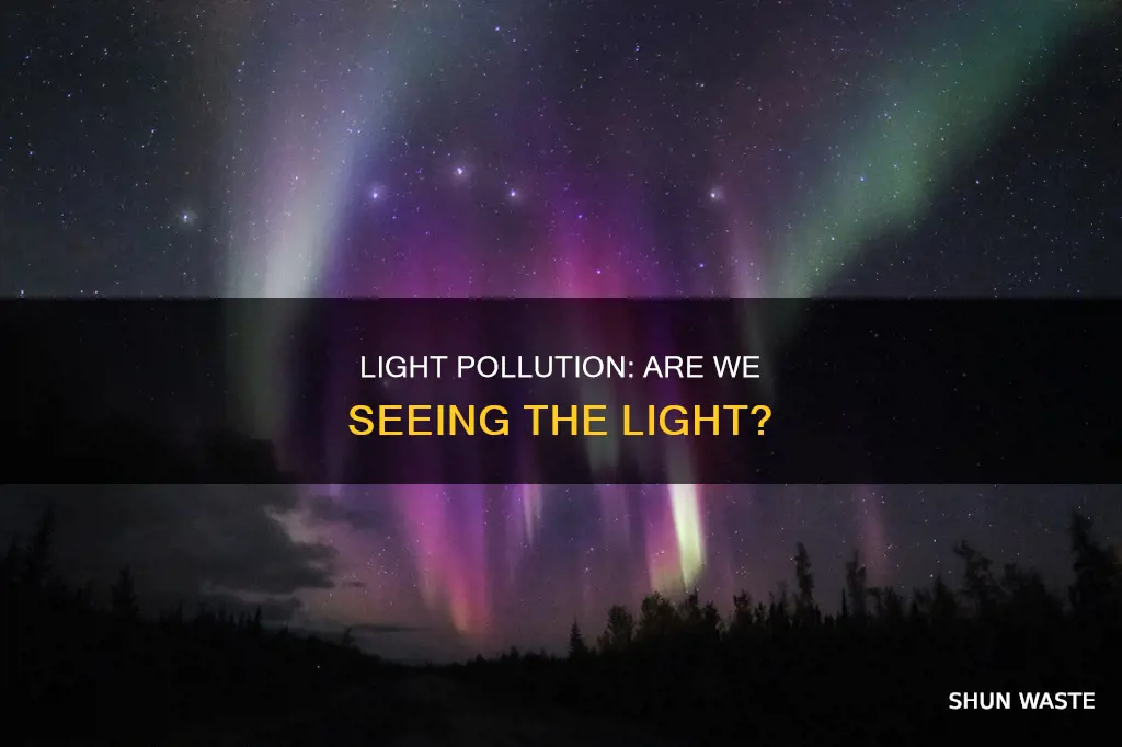 Light Pollution: Are We Seeing The Light? | ShunWaste