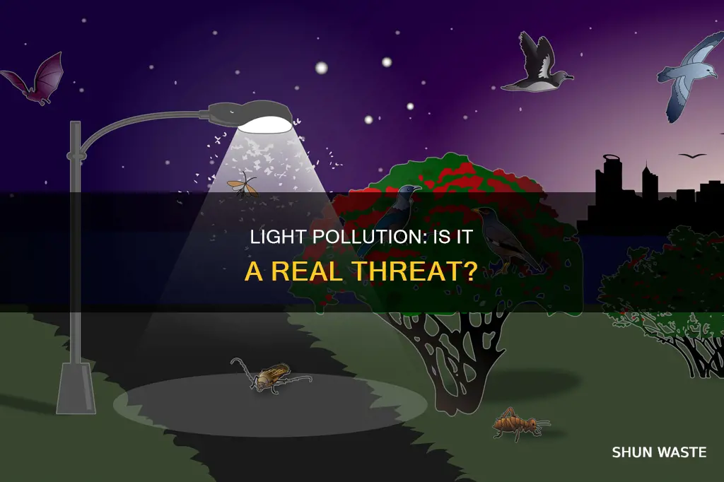 Light Pollution: Is It A Real Threat? | ShunWaste