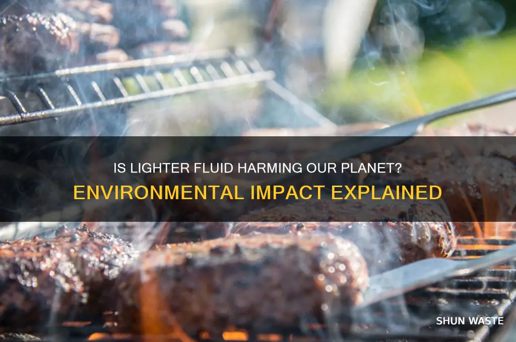 Is Lighter Fluid Harming Our Planet? Environmental Impact Explained ...