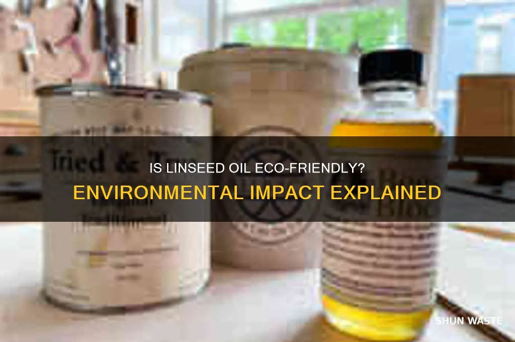 Is Linseed Oil Eco-Friendly? Environmental Impact Explained | ShunWaste